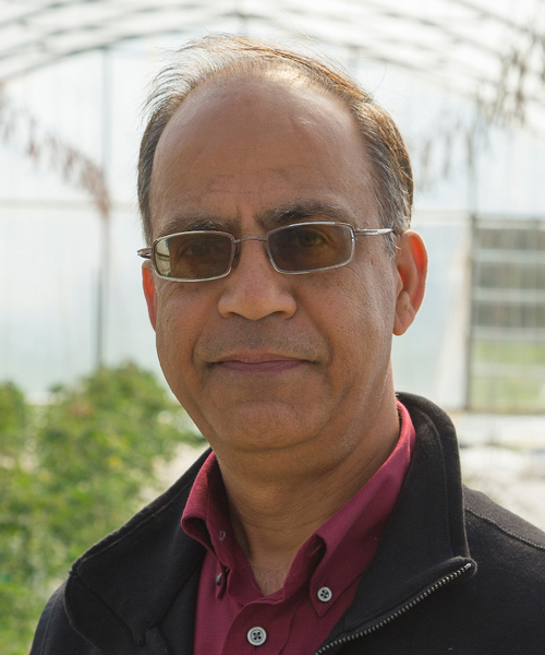 Faculty Feature with Agribusiness, Agriculture Education, and ...