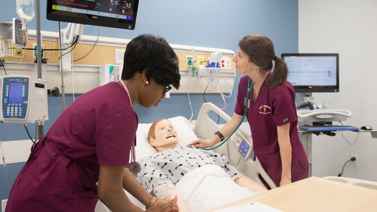 Leading the School of Nursing forward - Bear Bulletin