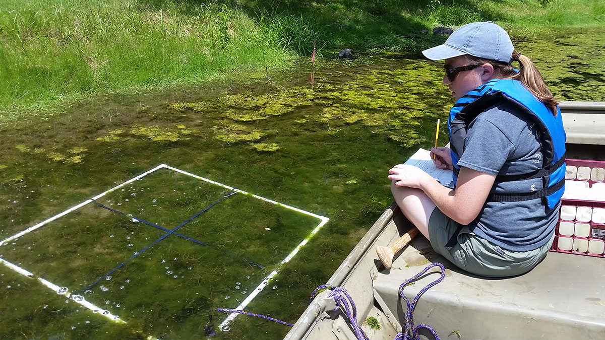 Diving into aquatic plant research - Biology Blog