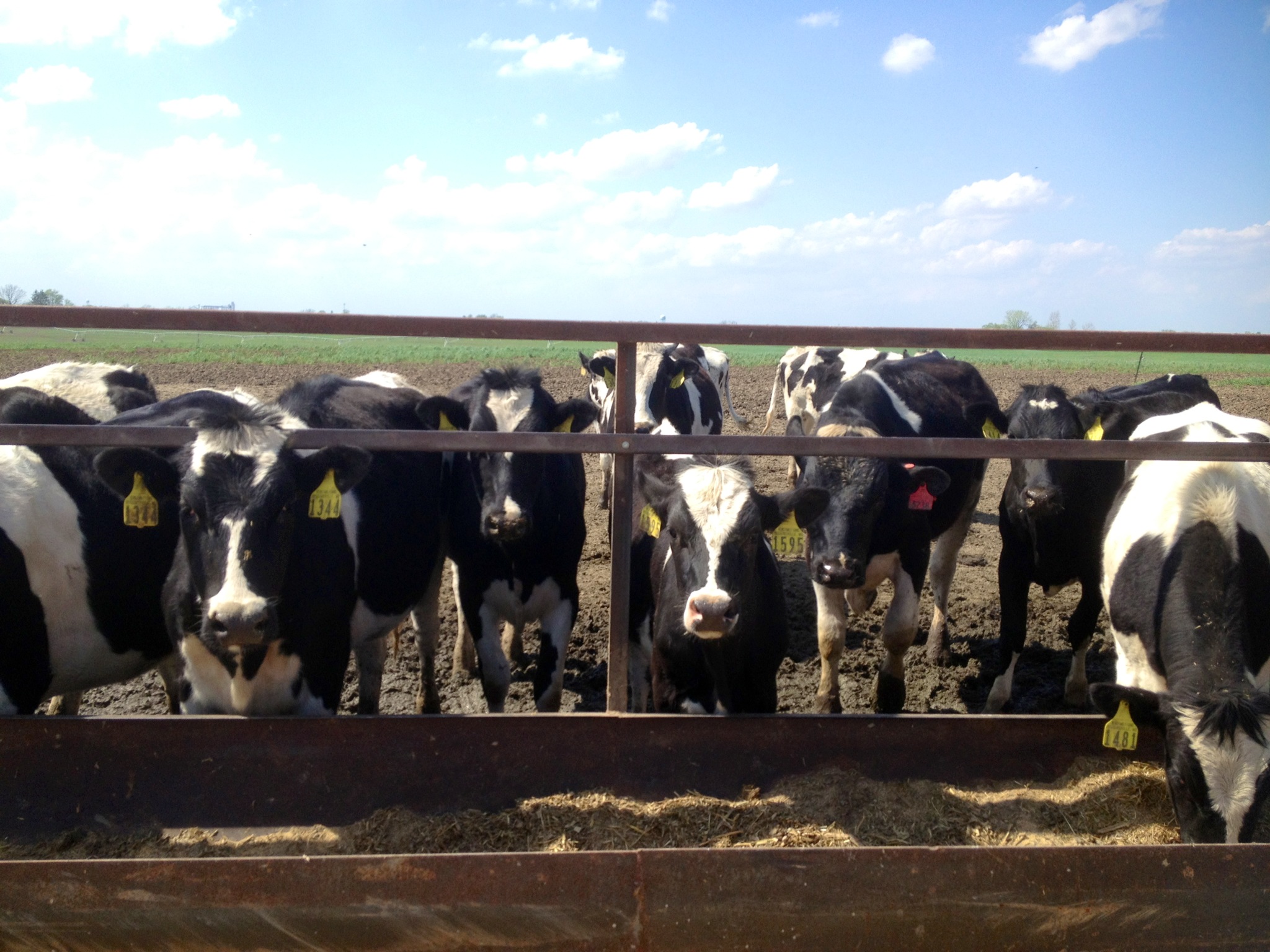 From Farm-to-Table in 48 Hours - BMS Blog