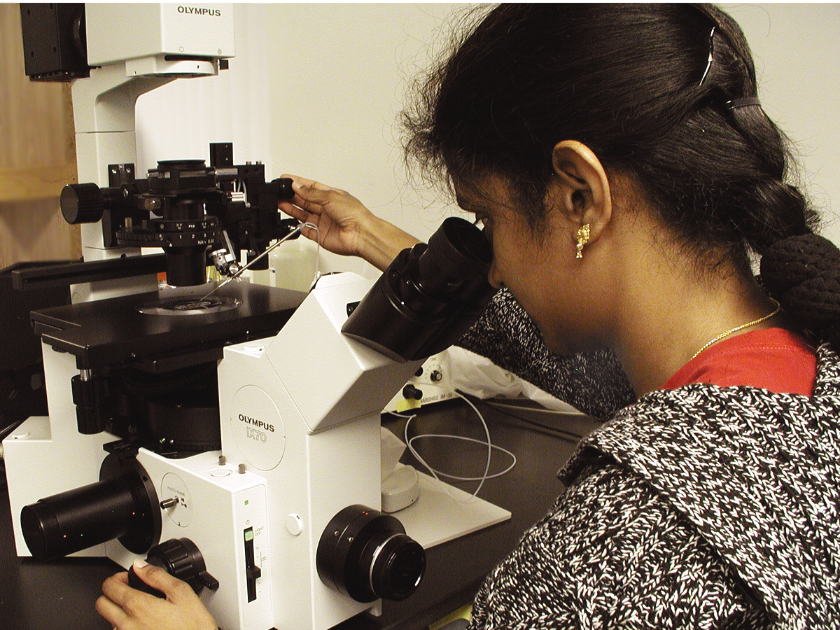 Summer Internship Opportunities for Science Students: Part 1 Finding ...