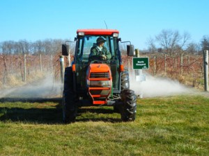 Liming the vineyards - What's happening in the field?