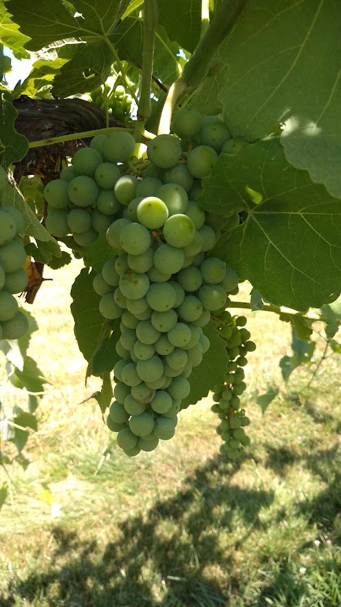 What's happening in the field?