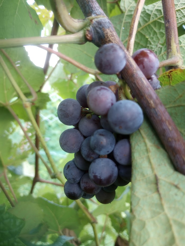 What's happening in the field?