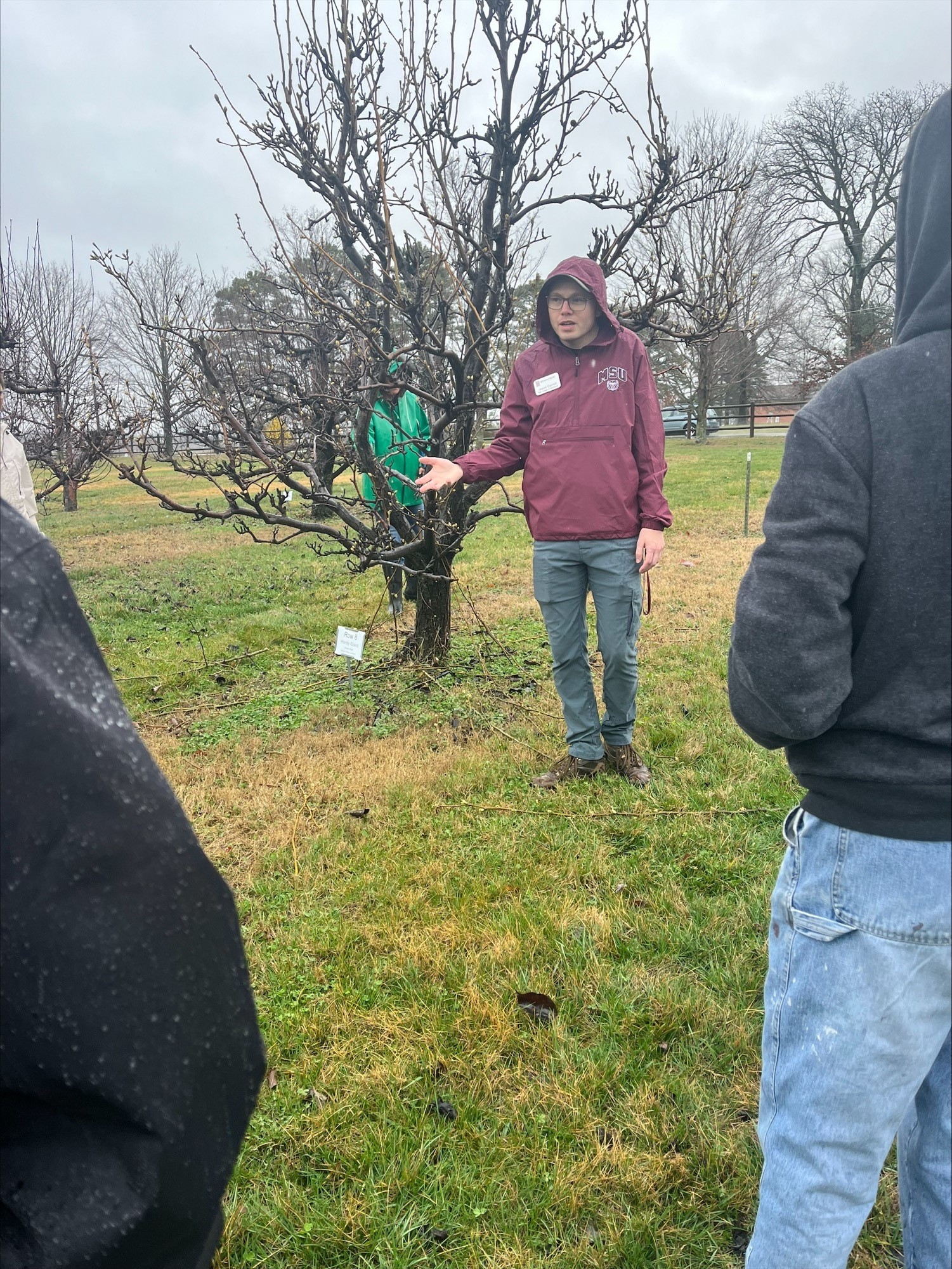 Pruning Workshop - What's happening in the field?
