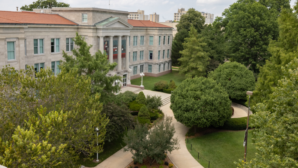 MSU recognized for healthy trees and conservation efforts - Inside ...