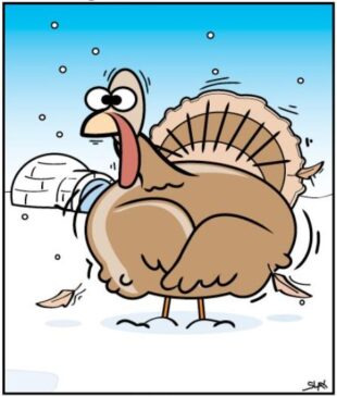 Learn English Idioms: Cold Turkey - International Bears