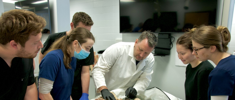 An inside look into MSU’s Cadaveric Anatomy Lab - Health and Human ...