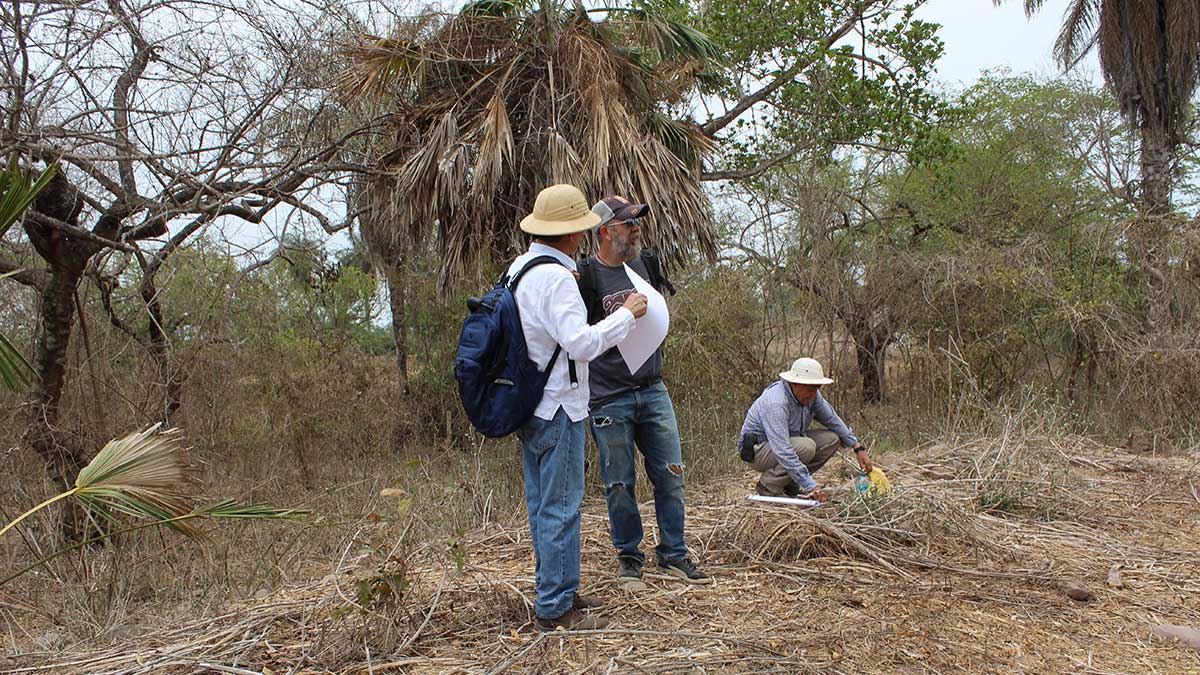CAR’s Dr. Daniel Pierce conducts research in Mexico - Reynolds College Blog